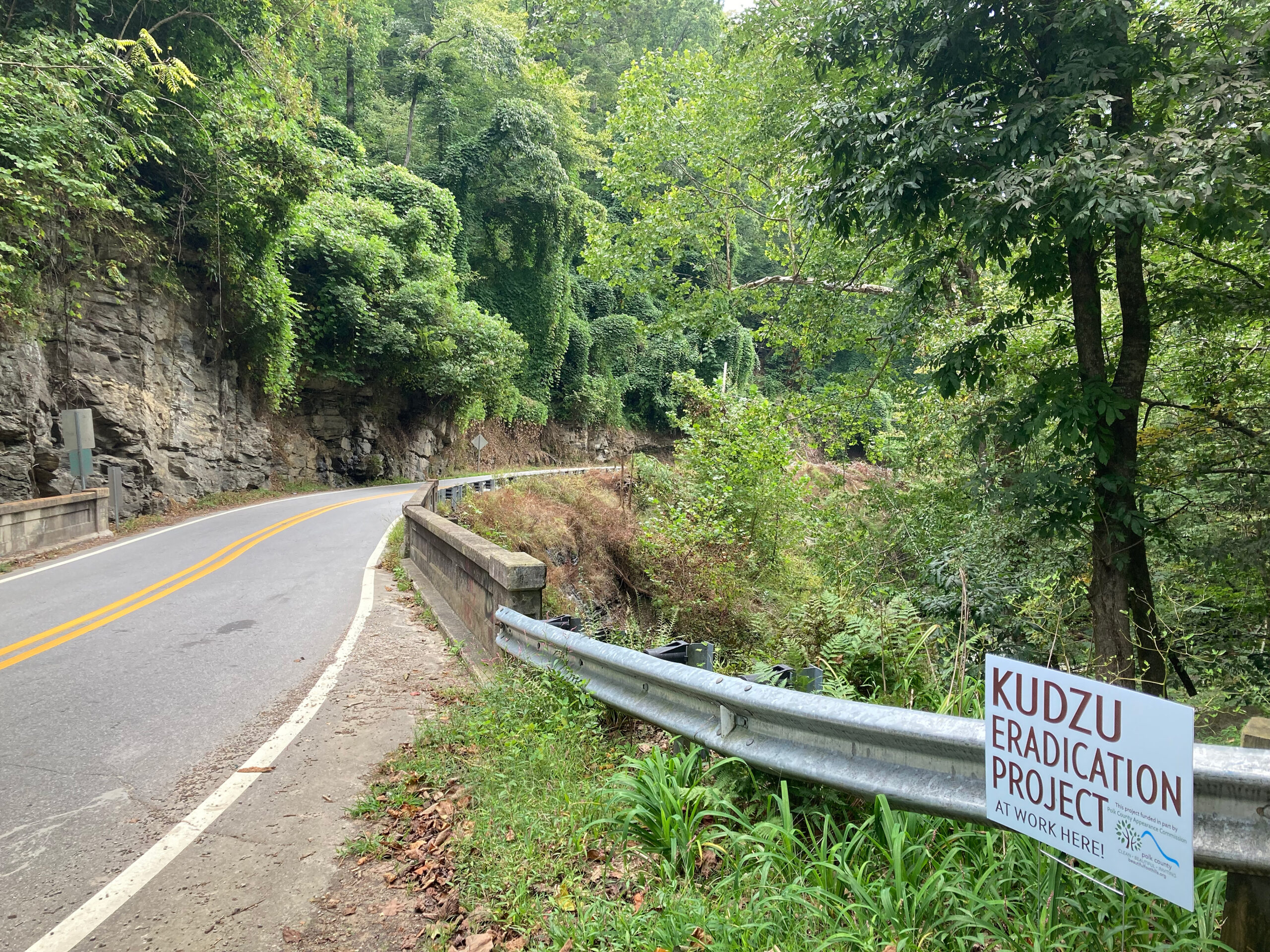 Tackling kudzu together in the North Pacolet River gorge | The Tryon ...