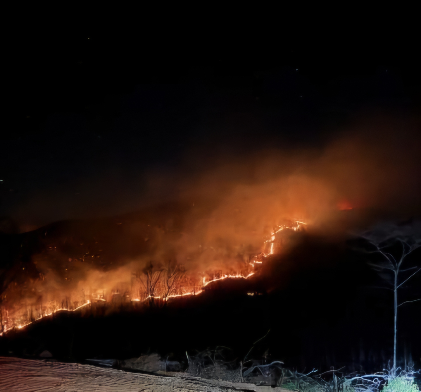 Evacuations still in effect due to forest fire in Tryon, Harmon Field ...