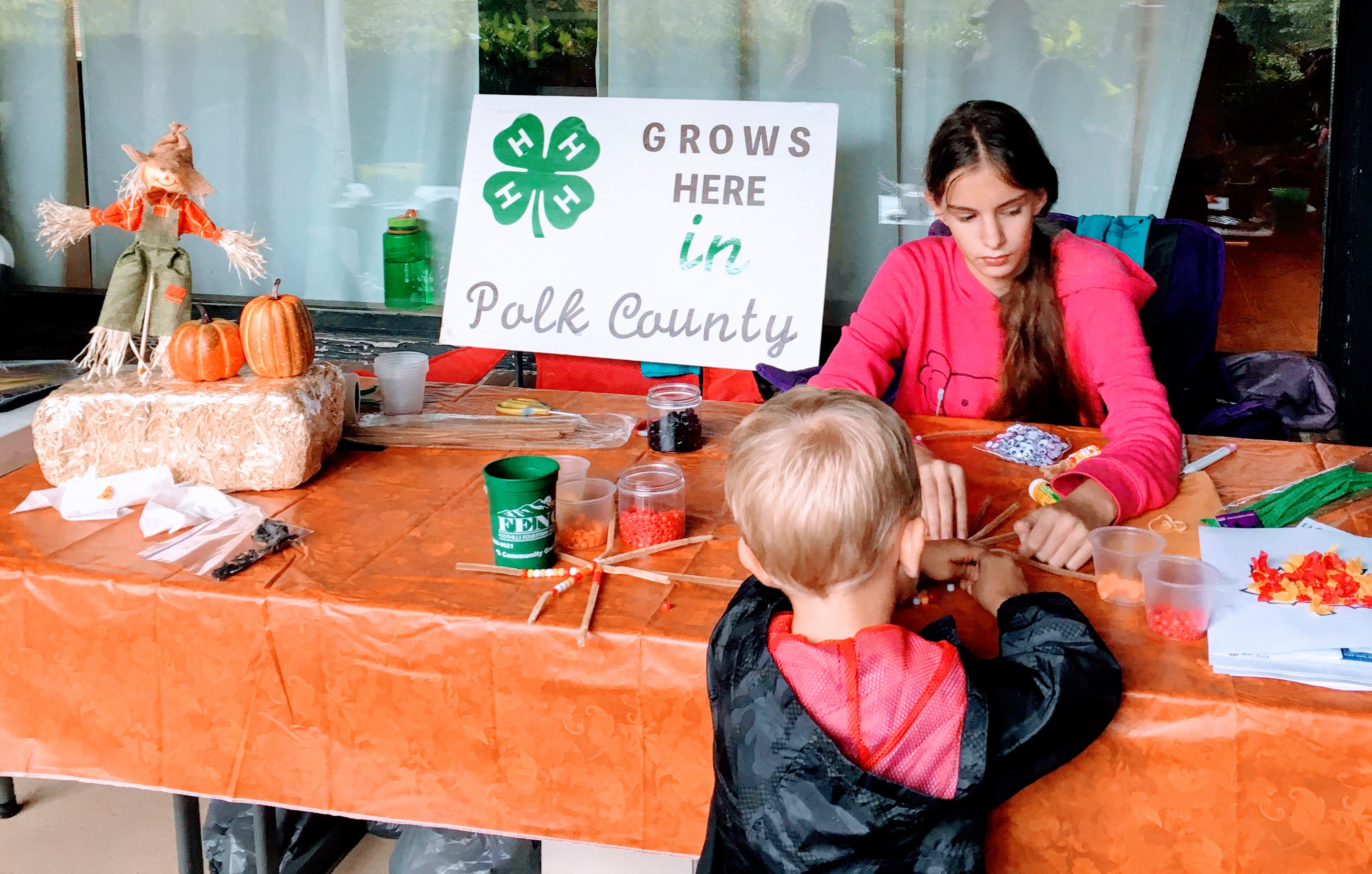 Polk County 4-H announces September classes | The Tryon Daily Bulletin