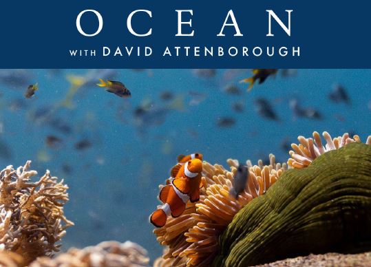 Free screening of Ocean with David Attenborough to be held Tuesday ...
