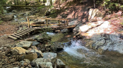 Tropical Storm Helene’s impact on Pearson’s Falls discussed at recent ...