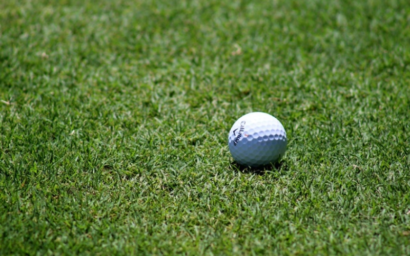 Morrisey tapped to lead Polk County boys golf program | The Tryon Daily ...