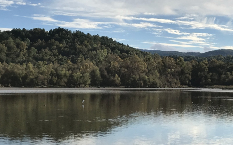 Cleanup project aims to restore Lake Adger after Hurricane Helene | The ...